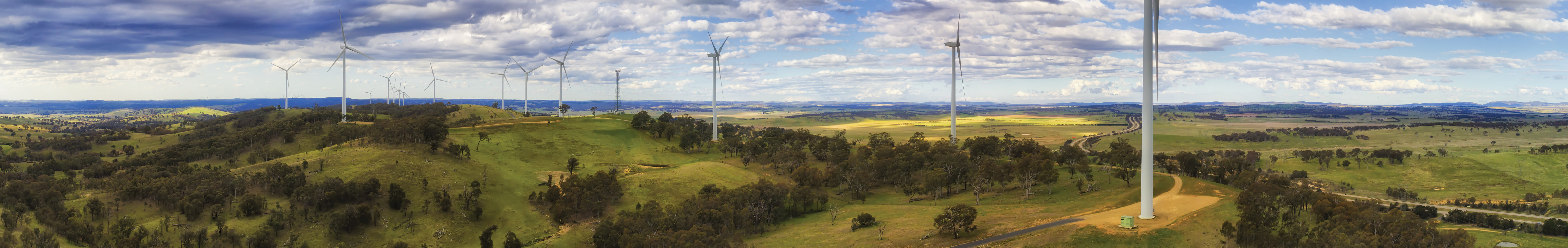 Why late consideration of bird and bat guidelines could delay your wind ...