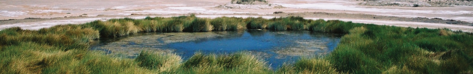 A day in the life of a Graduate Hydrogeologist | EMM Consulting Canada